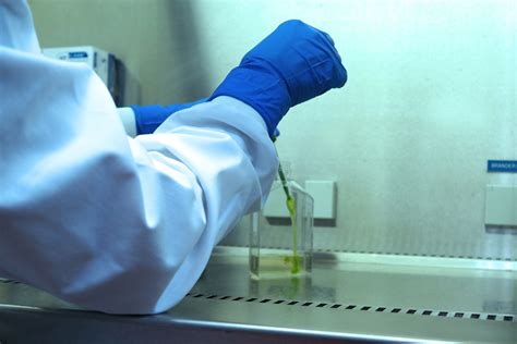 Detailed Algae Production Process Flow Phycom