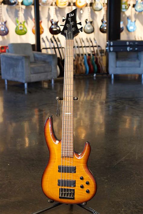 Esp Ltd B 155 5 String Bass Reverb