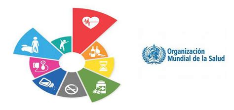 Los Círculos De La Vida Saludable La Organización Mundial De La Salud