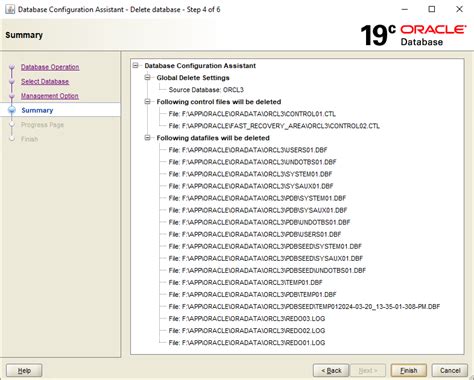 Oracle Windows Delete A Database Snowdba