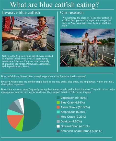 Snakehead Population Explosion Main Forum Surftalk