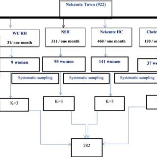 Schematic Presentation Of Sampling Procedure Download Scientific Diagram