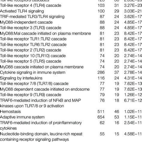 The Top 25 Enriched Reactome Pathways Within The Network At The Acute