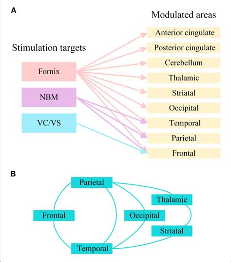 The Modulated Brain Structure Of Ad Patients After Dbs In The Current Download Scientific