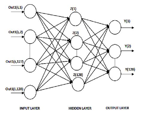 Neural Network Structure Without Feedback Download Scientific Diagram