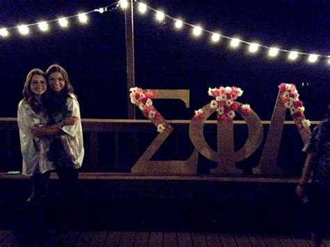 Why I Phi Lamb Phi Sorority Life Lamb