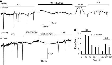 Initiation Of Cortical Spreading Depression In Vivo Is Strongly Download Scientific Diagram