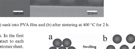 Figure 2 From Modulating Two Dimensional Non Close Packed Colloidal Crystal Arrays By Deformable
