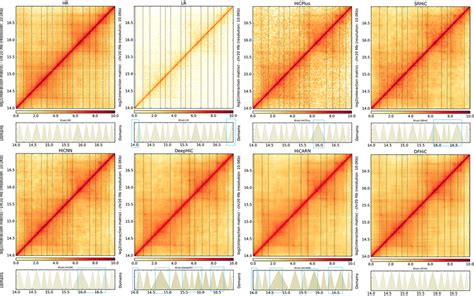 Visualization Of Hi C Data And Detected Tad On Chr20 14mb 17mb By Download Scientific Diagram