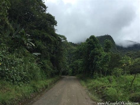That Time We Had Quick Smokin Hot Sex In A Cloud Forest Yourtango