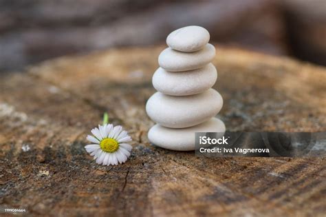 흰색 돌 케언 녹색 갈색 배경 앞나무 그루터기에 자세 빛 자갈 선 같은 조화와 균형 0명에 대한 스톡 사진 및 기타 이미지 0명 5가지 개체 갈색 Istock