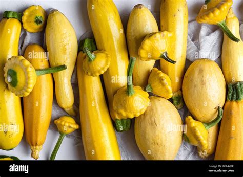 How Does Yellow Summer Squash Taste At Cristal Lawrence Blog