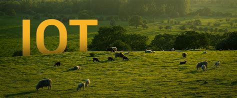 Iot Sensor Modules Qst Corporation Limited