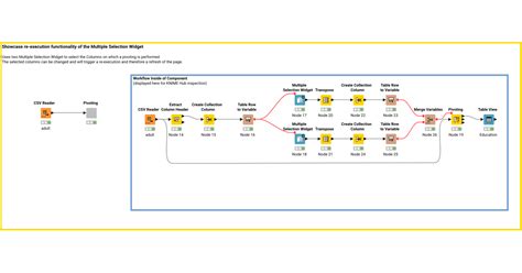 Re Execution Functionality Of The Multiple Selection Widget Knime Community Hub