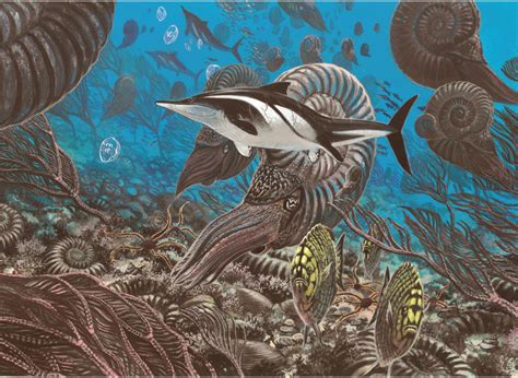 This Is The First Plesiosaur Skull That Was Formally Described And