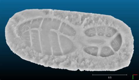 Ssao Shader Cloudcompare Wiki