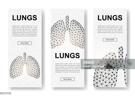 세 개의 폐 다각형 수직 배너 세트 3d 장기 해부학 연결된 점이있는 낮은 폴리 기호 홈페이지 디자인을 위한 수직 그림 연결에 대한 스톡 벡터 아트 및 기타 이미지 Istock