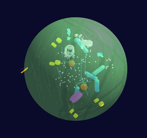 Cell Creator 2 By Tom Crum