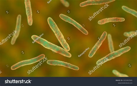 Bacteria Mycobacterium Tuberculosis Causative Agent Tuberculosis Stock Illustration 2231957041
