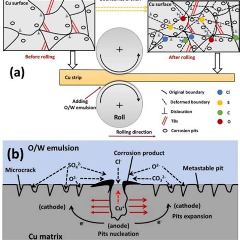 Statistical Data Of The Grain Size And Grain Boundary Variations Download Scientific Diagram