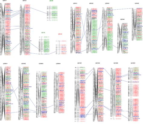 Diversity Arrays Technology