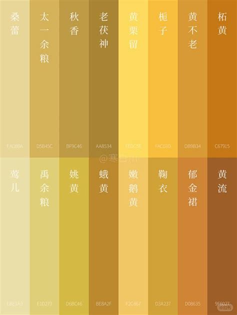 黄色命名 小红书搜索