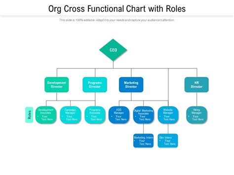 Org Cross Functional Chart With Roles Powerpoint Slides Diagrams