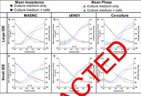 Figure 4 From Characterising Vascular Cell Monolayers Using Electrochemical Impedance