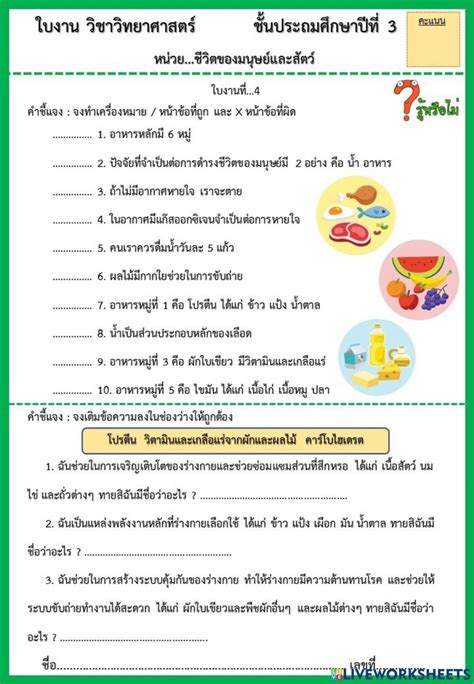 ใบงานที่ 4 เรื่อง อาหาร 5 หมู่ Worksheet สุขศึกษา วิทยาศาสตร์ ป 3 ห้องเรียนวิทยาศาสตร์
