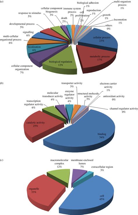 Distribution Of The Gene Ontology Go Functional Categories The