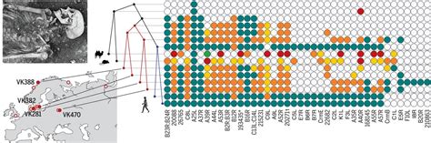 Diverse Variola Virus Smallpox Strains Were Widespread In Northern