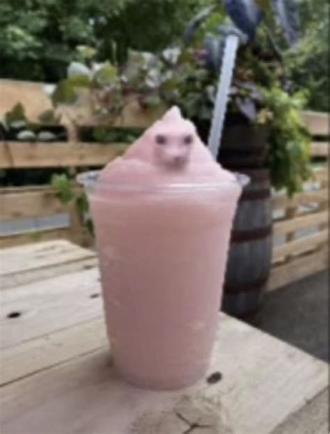 Tiny Pink Bingus Rbingus