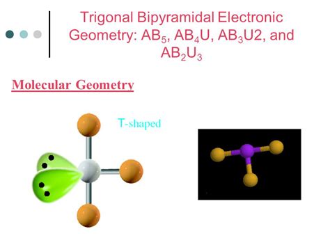 Trigonal Bipyramidal Shape