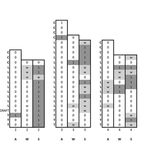 Detection Of Pseudomonas Syringae Pv Actinidiae Within The Tissues Of Download Scientific