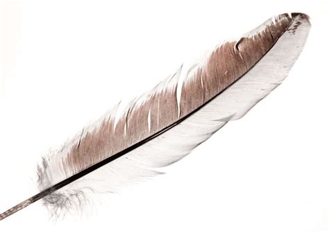 Feather A Fast On Disk Format For Data Frames For R And Python