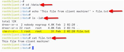How To Install And Configure A Linux Ubuntu Nfs Server