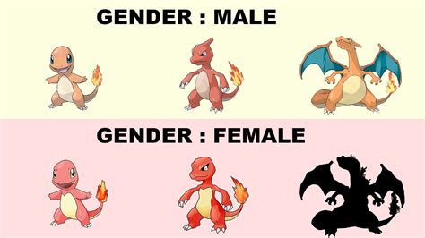 Charizard Evolution Gender Differences Fanart Youtube