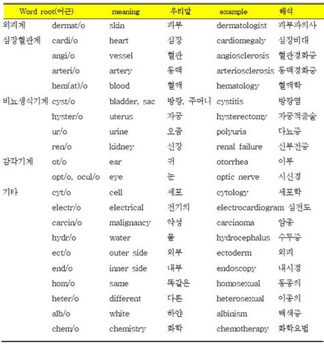 기초 의학용어 공부 1접두접미사 네이버 블로그