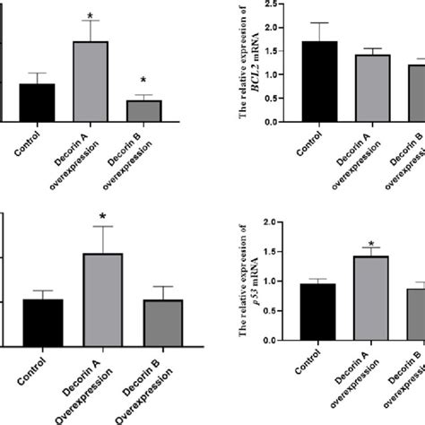 The Effect Of Decorin A And B On The Expression Of Download Scientific Diagram