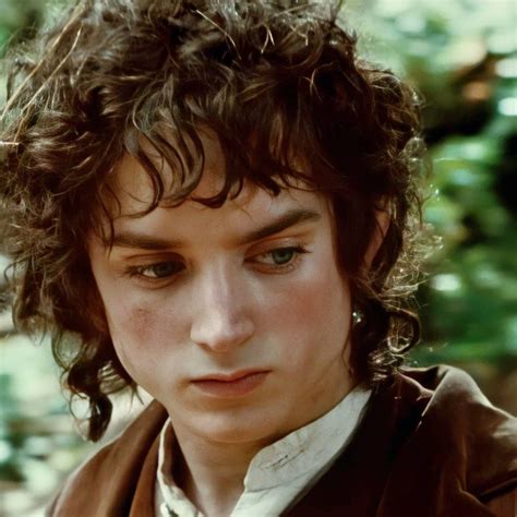 Frodo Baggins Artofit