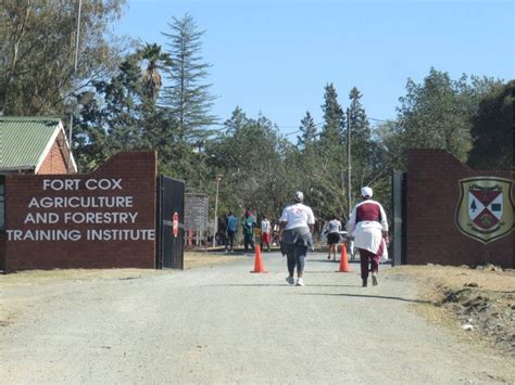 Fort Cox Agriculture And Forestry Training Institute Amahlathi
