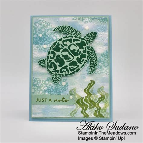 Stampin Up Sea Turtle Artofit