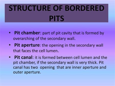 Pits And Plasmodesmata Pptx