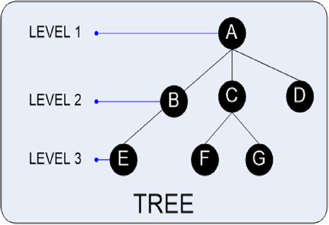 All About Data Structure Session Introduction To Tree Binary Tree And Expression Tree