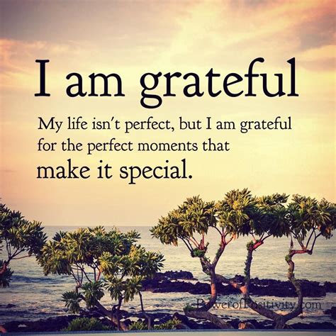 I Am Grateful Grateful Attitude Of Gratitude Excited About Life