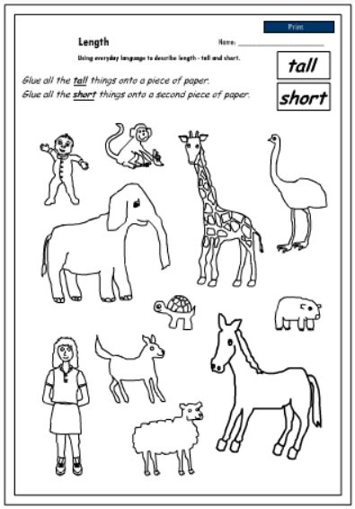 Language To Describe And Compare Length Studyladder Interactive Learning Games