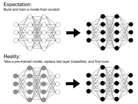 Pytorch Image Classification Tutorial For Beginners Towards Data Science