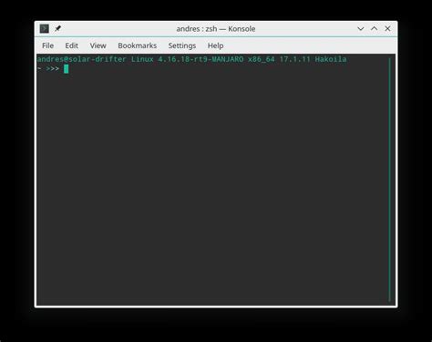 Linux Zsh Terminal Not Working Correctly In Fresh Manjaro Install