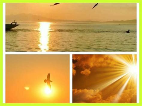 Стъпки към здравето Зелените лъчи на слънцето