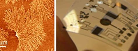 Polymers And Biomaterials Department Of Materials